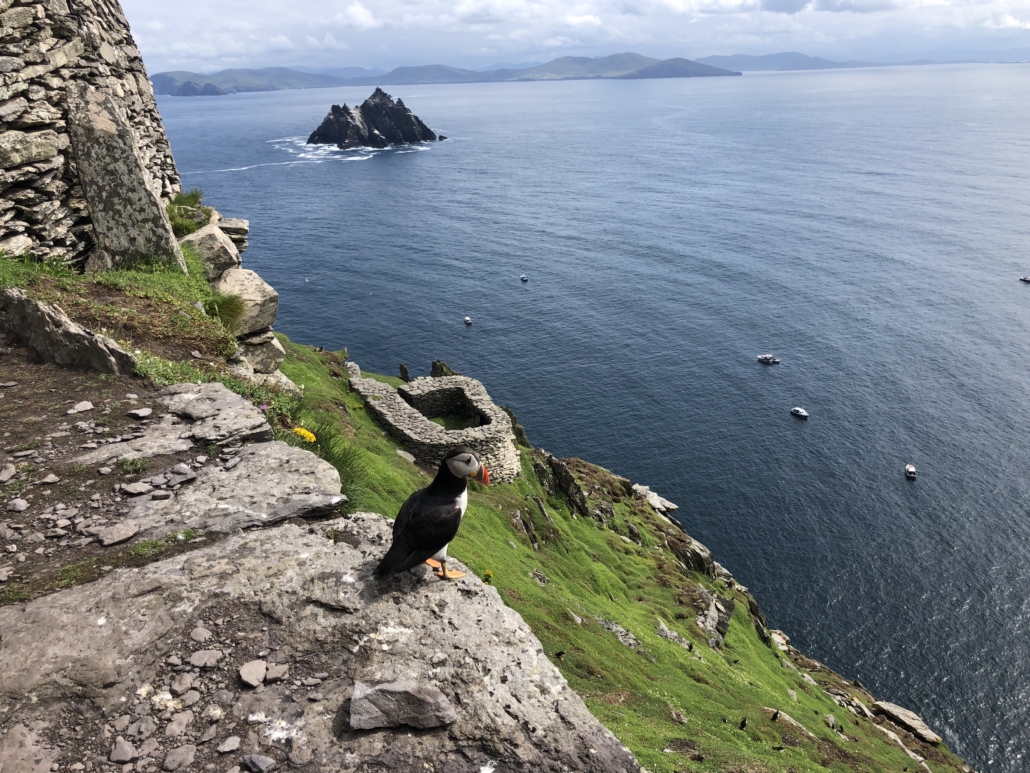 Skellig Michael Tours for Bank Holiday weekend - Skellig Michael Cruises